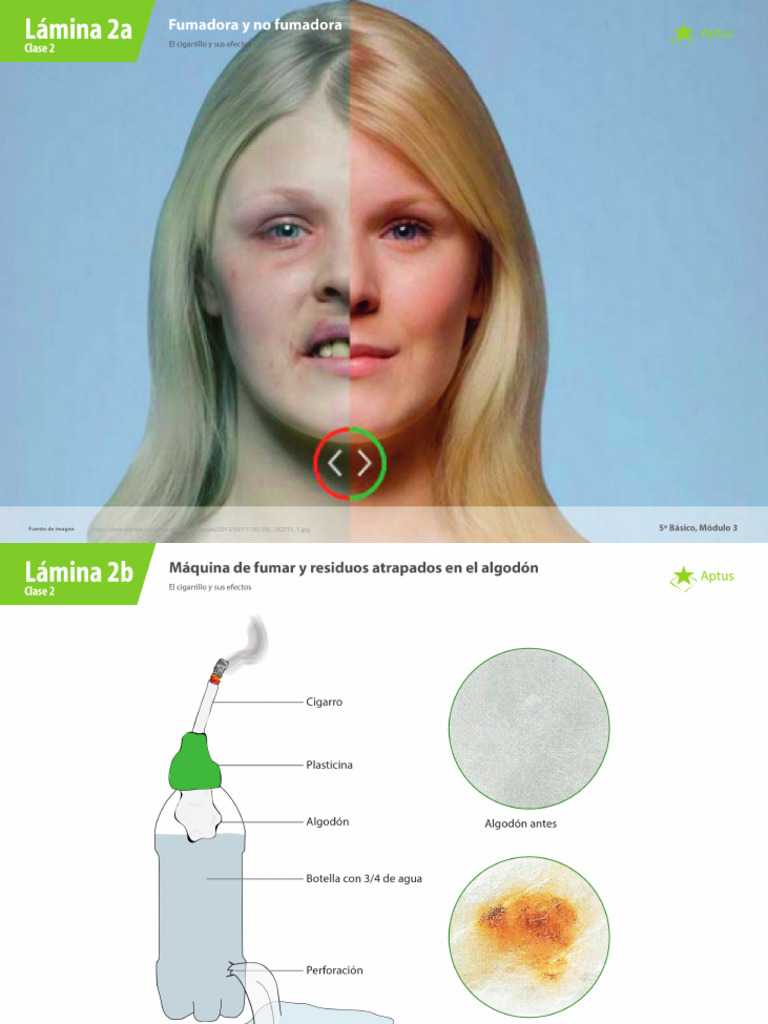 Modulo 3 Clase 2 Laminas | PDF