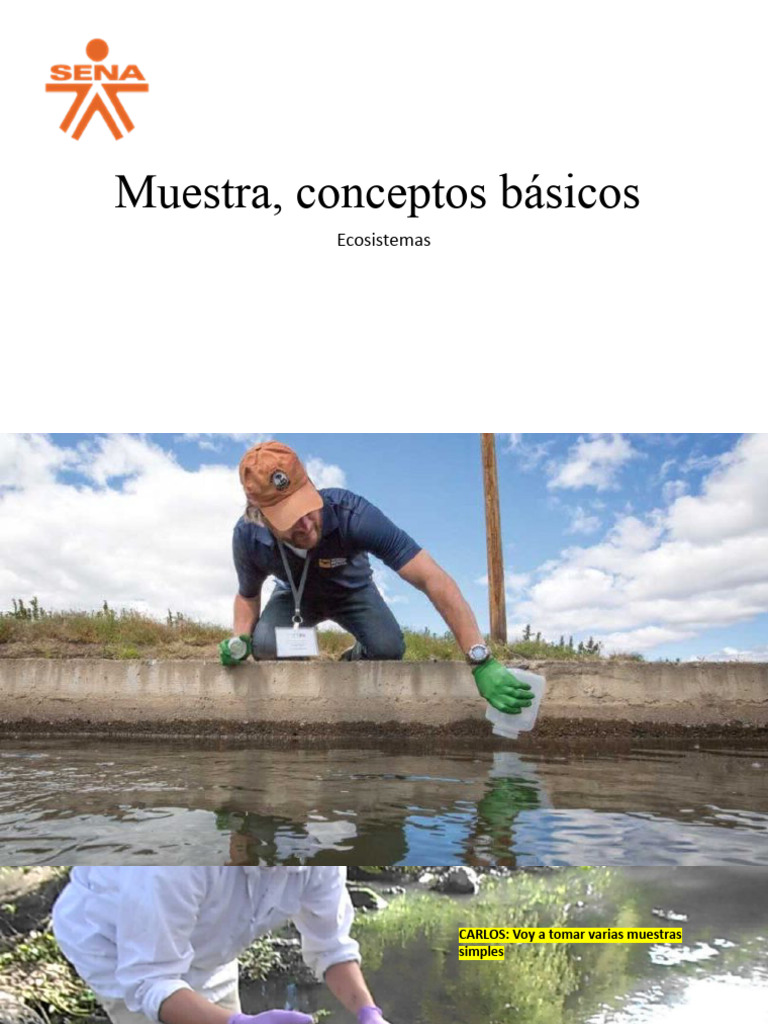 Muestra - Conceptos Básicos | PDF
