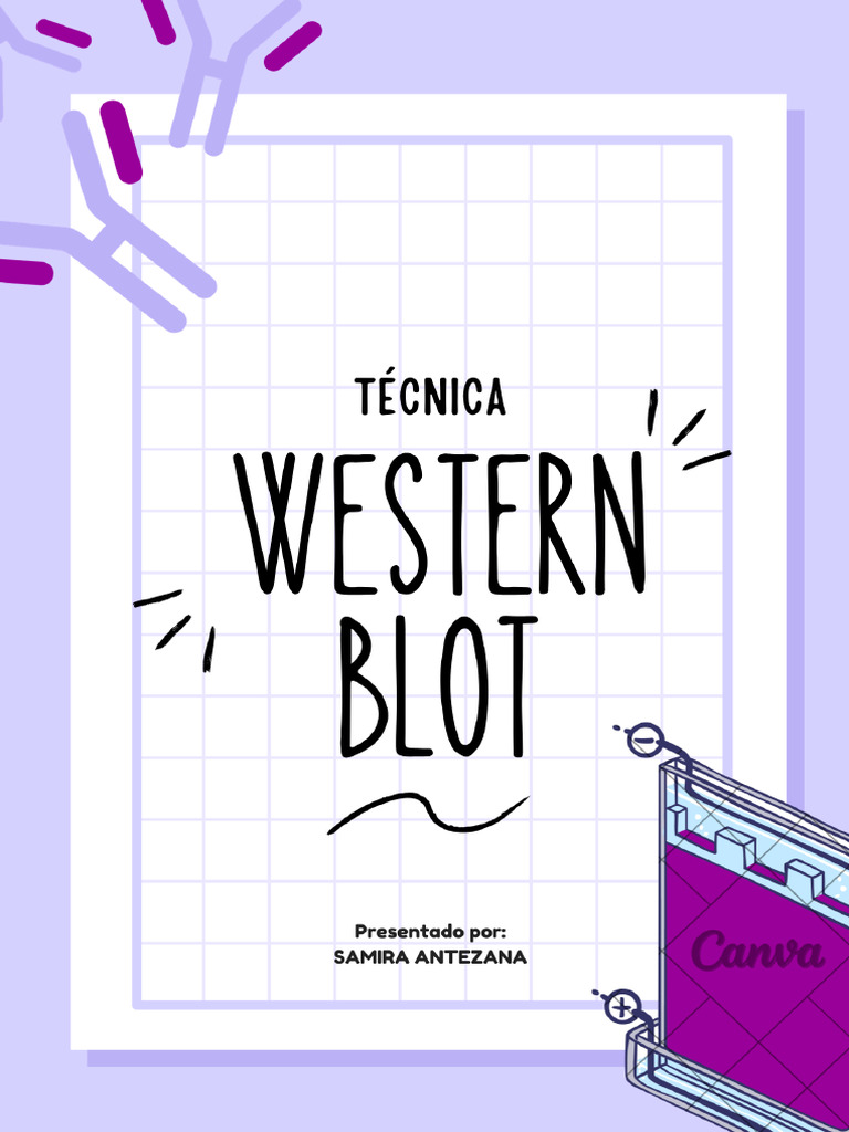Western Blot | PDF | Blot (biología) | Biología