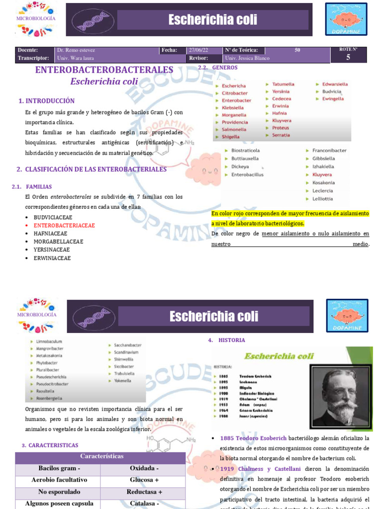 M-R5-T50-Escherichia Coli | PDF | Escherichia coli | Diarrea