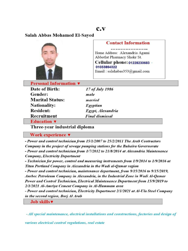 Salah CV | PDF