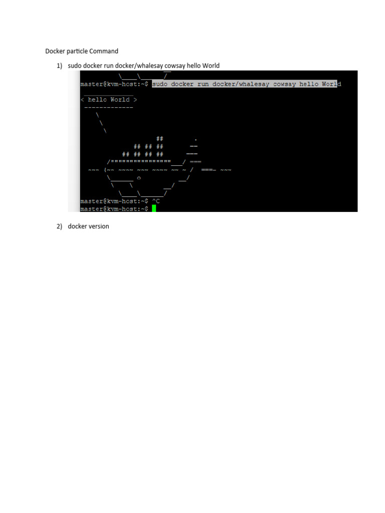 Docker Pdf