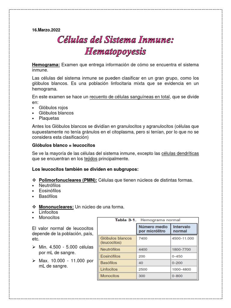 Inmuno 2 | PDF | Sistema linfático | Leucocito