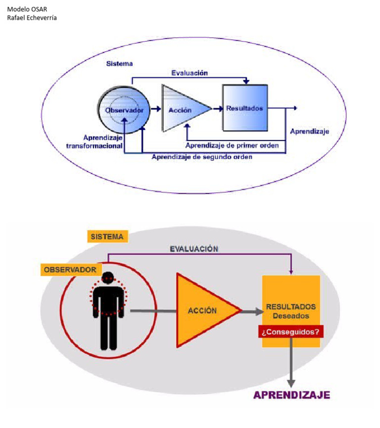Modelo OSAR por Rafael Echeverría | PDF