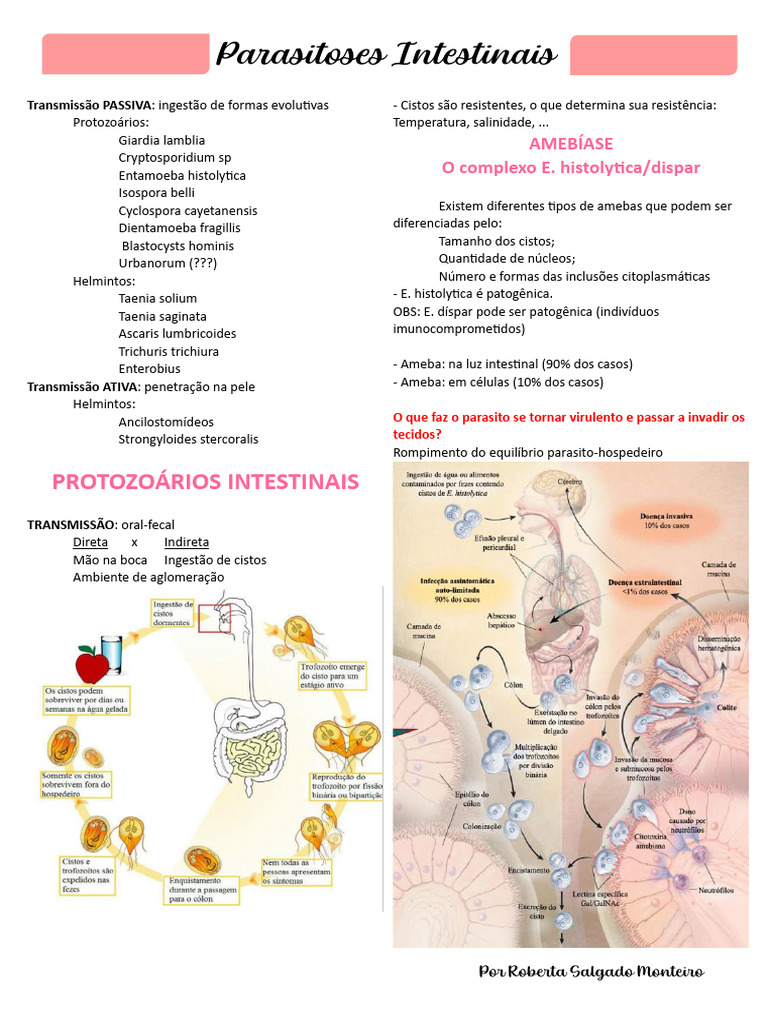 Conferência 02 - Parasitoses Intestinais | PDF | Medicina Clínica ...