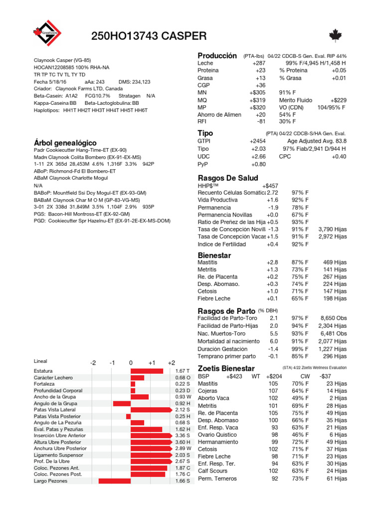 250HO13743 - Casper | PDF | Ganado | Mamíferos