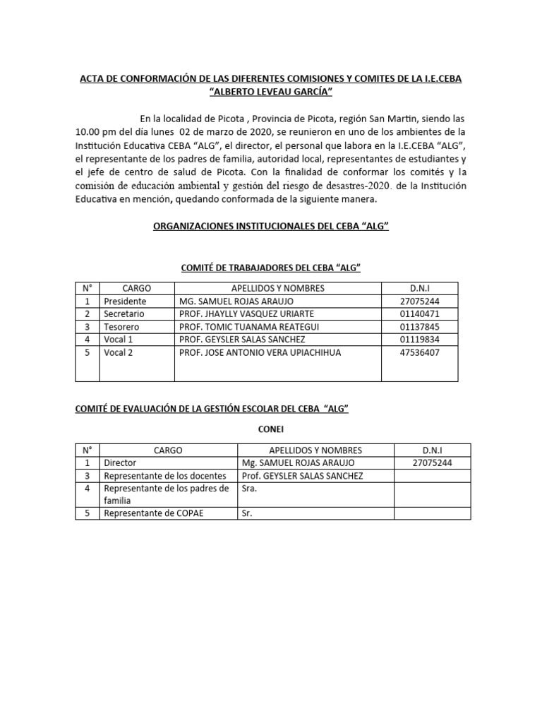 Acta de Comisiones Institucio Ok | PDF | Liderazgo | Jerarquía