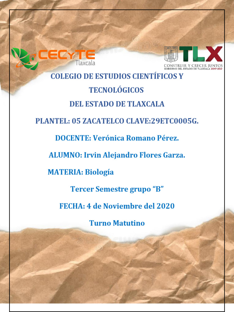 Act - Teoría-Celular-Flores-Garza-Irvin-Alejandro-3b | PDF | Biología ...
