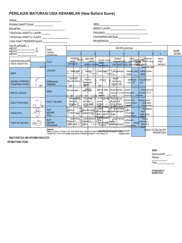 Ballard Score - En.id | PDF