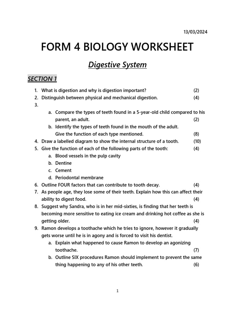 F4 Bio Worksheet Digestive System | PDF | Digestion | Small Intestine