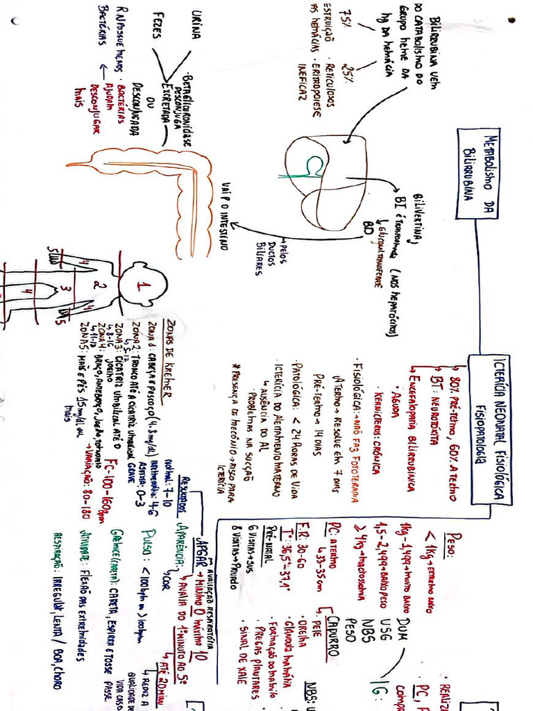 QUADRO PROBLEMA 01- PERÍODO-03-ICTERICIA | PDF