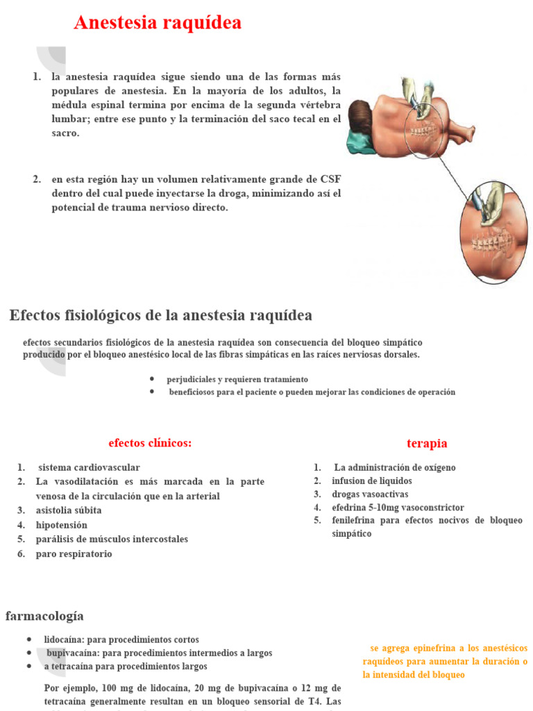 Anestesia Raquidea | PDF | Anestesia | Médula espinal