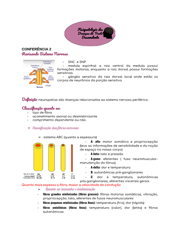 Conferência MOD2 P3 PDF | PDF