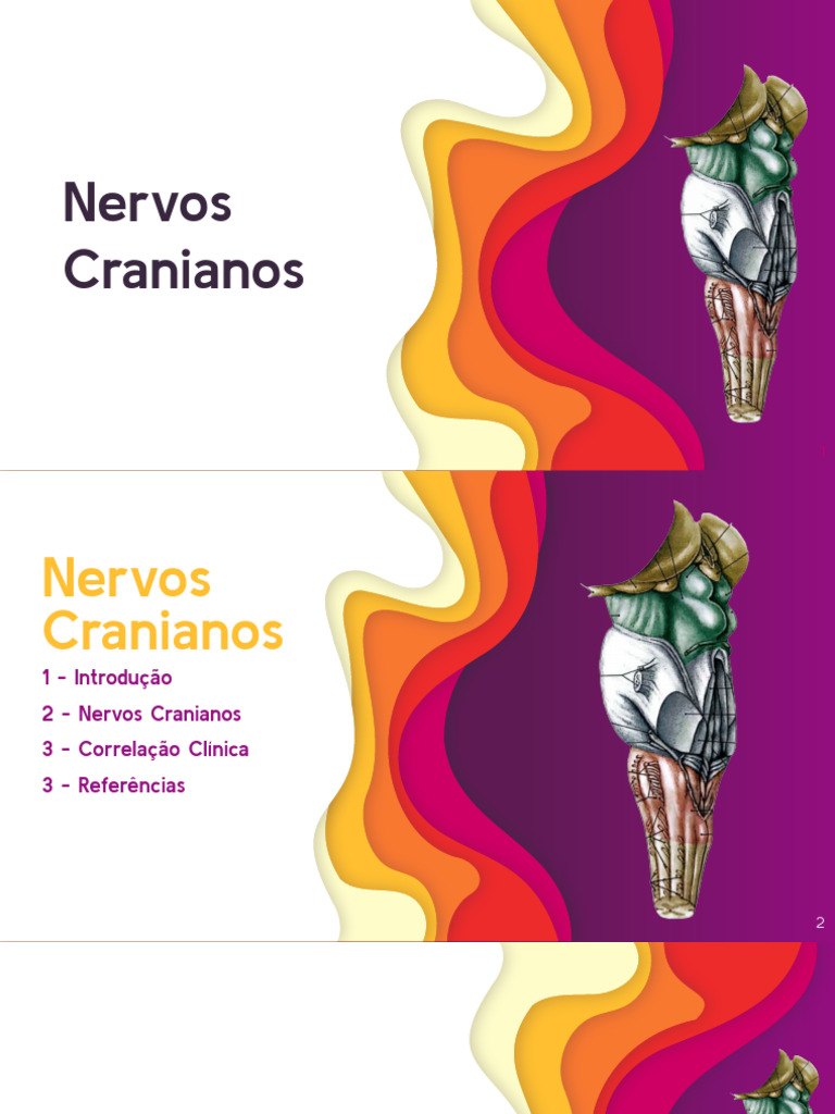 Aula de Nervos Cranianos | PDF | Nervo | Neuroanatomia Aula de Nervos Cranianos | PDF | Nervo | Neuroanatomia