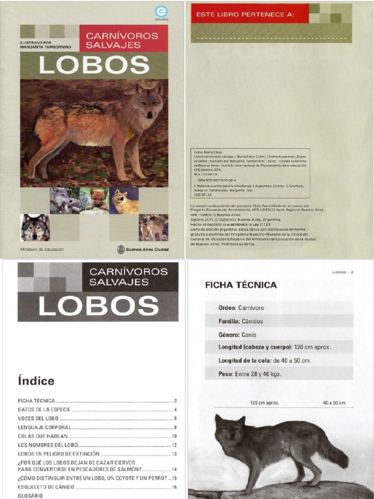 Lobo | PDF
