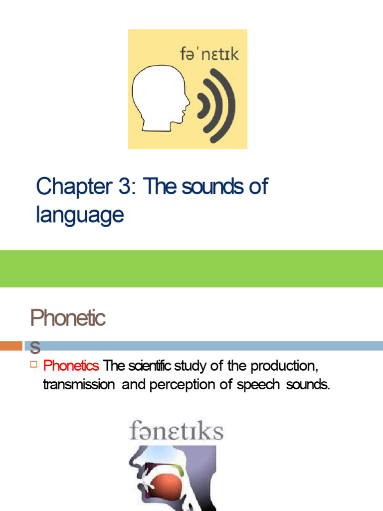 Chapter 3 - Phonetics ENG260 | PDF | Phonetics | Speech
