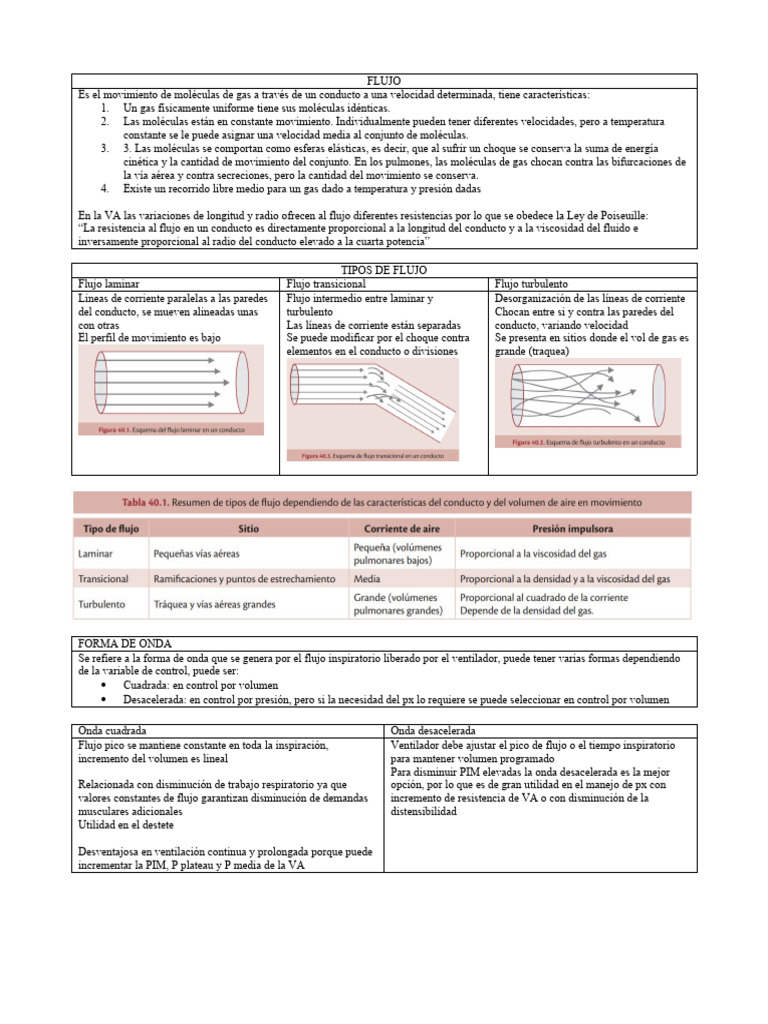 Flujo Durante VM | PDF | Gases | Turbulencia