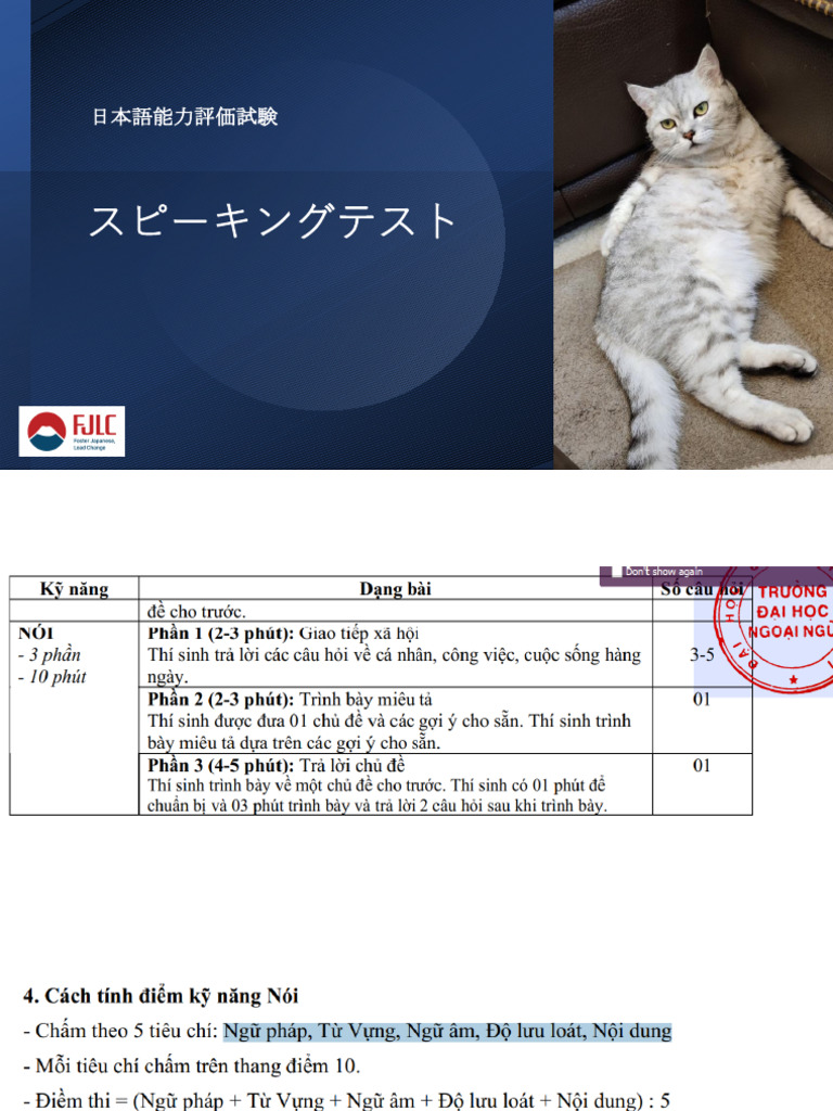 CDR Speaking Test | PDF