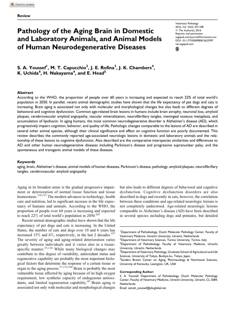 Youssef Et Al 2016 Pathology of The Aging Brain in Domestic and Laboratory Animals and Animal ...