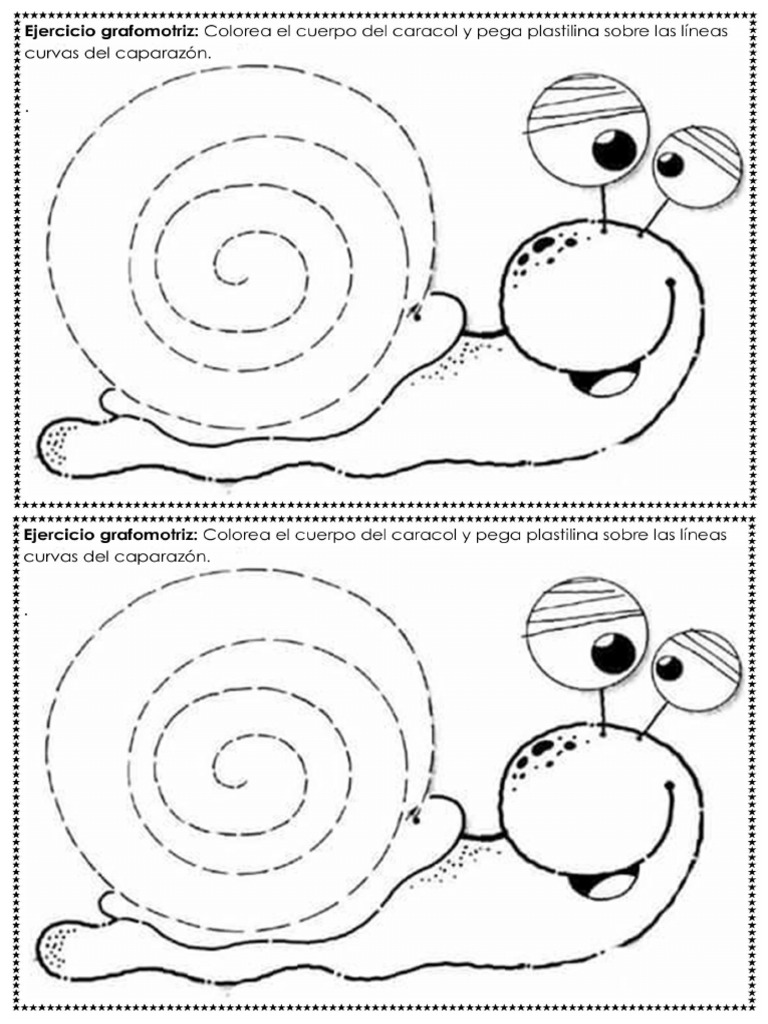 Caracol-Líneas Curvas | PDF