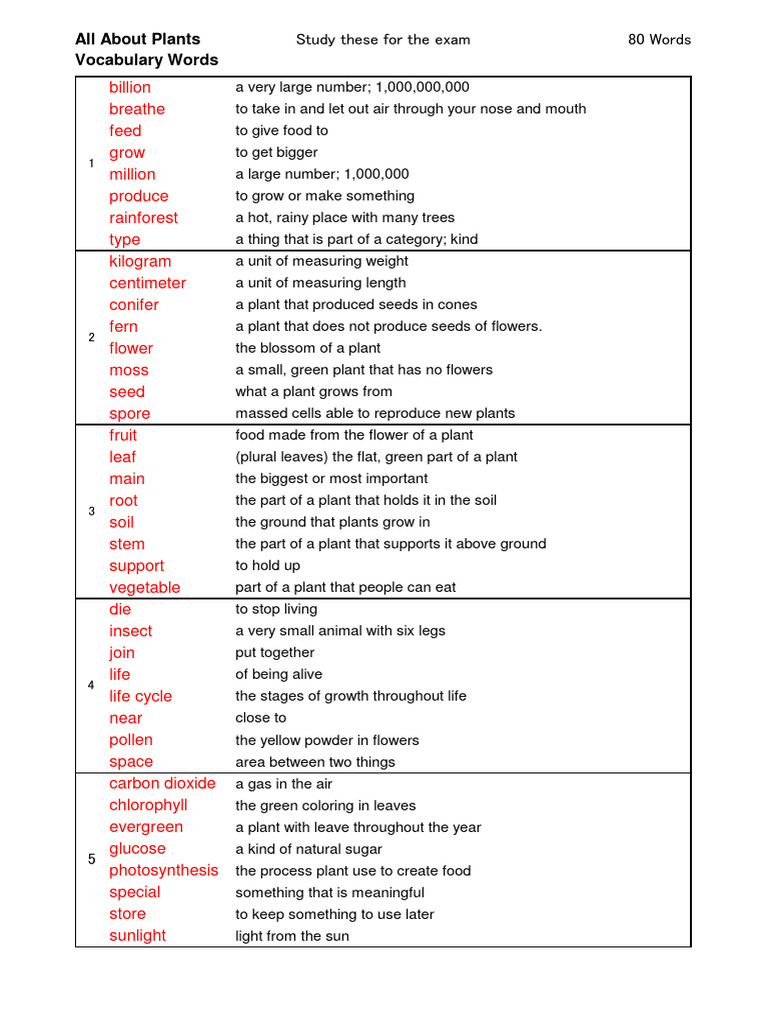 Essential Plant Vocabulary for Study | PDF | Plants | Flowers