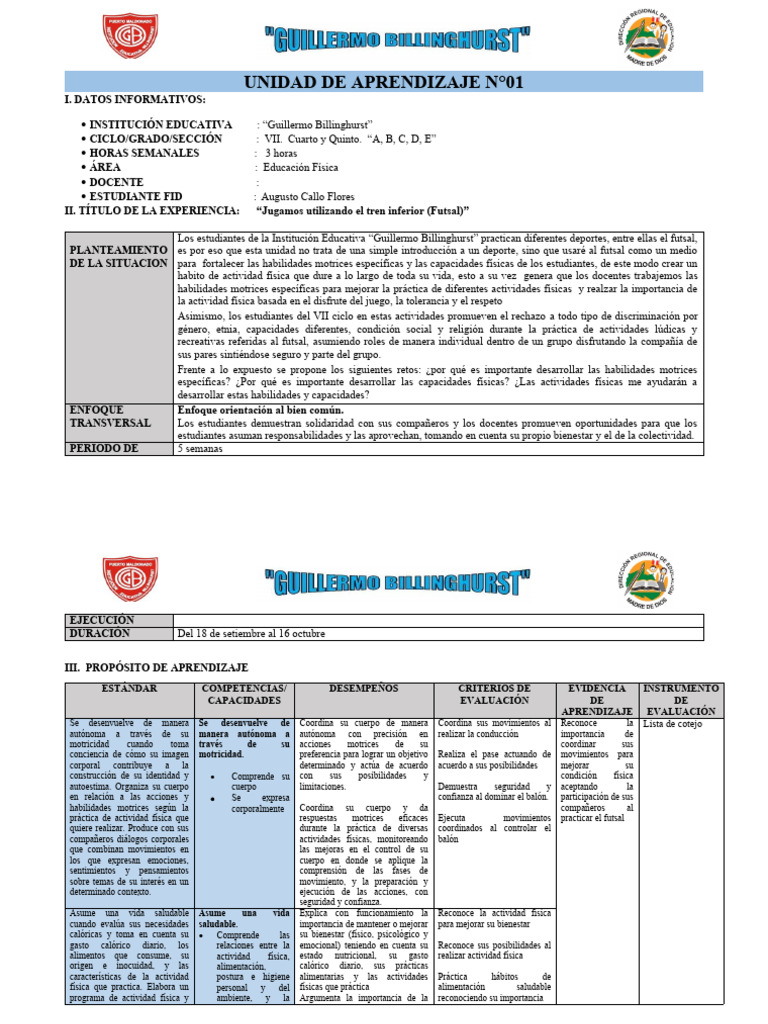 UNIDAD DE APRENDIZAJE N° 07 | PDF | Aprendizaje | Bienestar