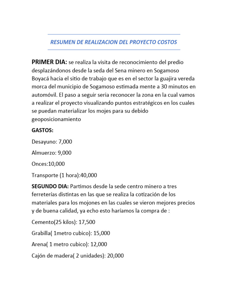 Resumen de Realizacion Del Proyecto Costos | PDF | Tecnología geográfica