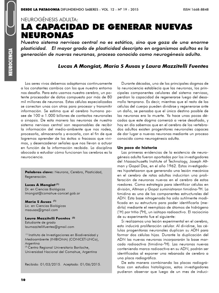 CONICET Digital Nro. B | PDF | Neurona | Sinapsis