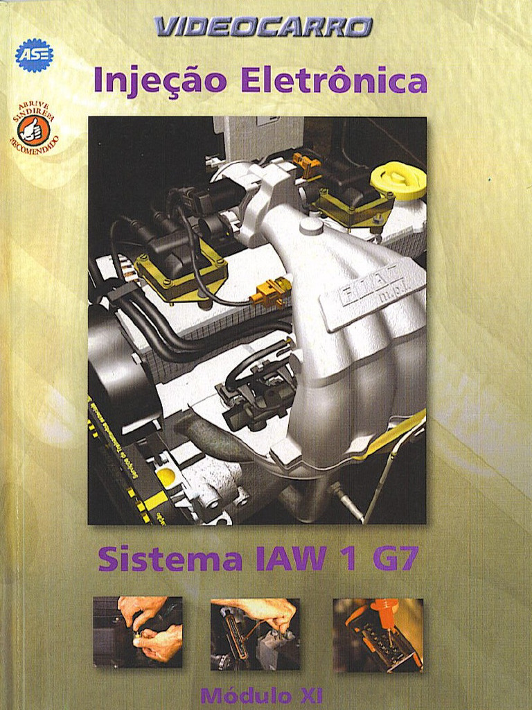 Modulo 11 Sistema IAW 1 G7 PDF | PDF