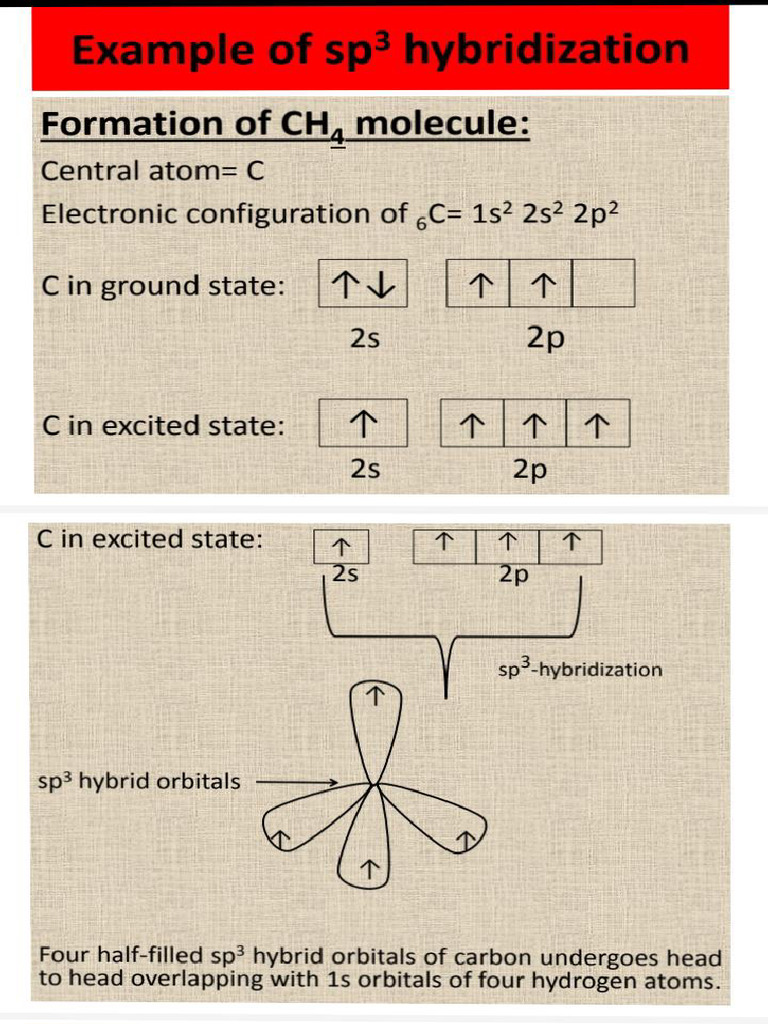 Hybridization-examples | PDF