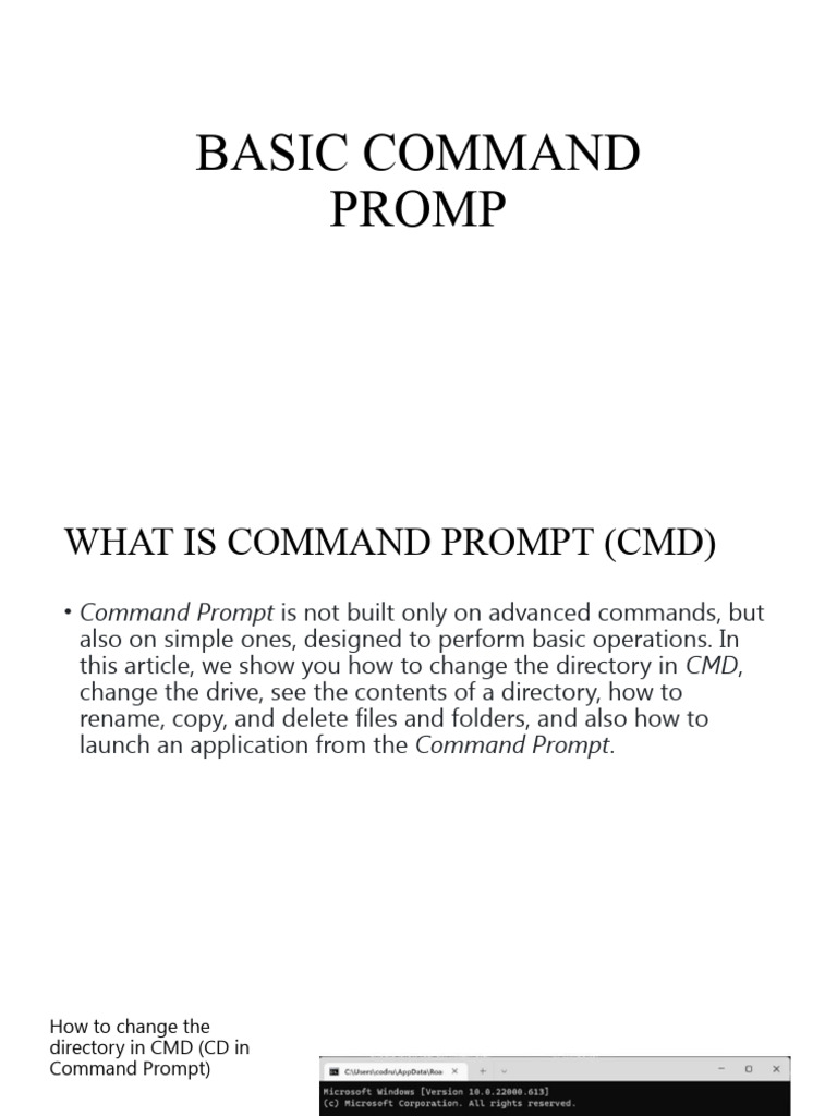 Command Prompt Basics: CMD Commands Guide | PDF