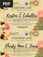 Career Guidance Certificate | PDF