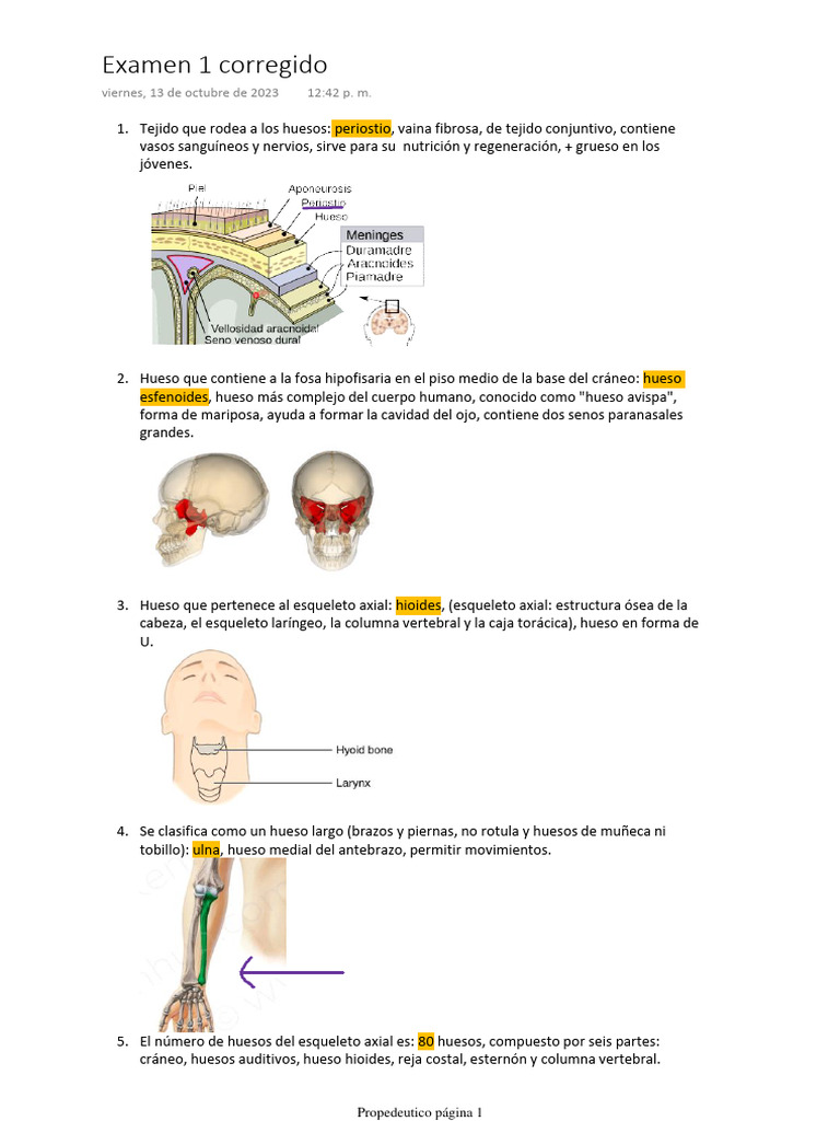 Examen 1 Diagnostico | PDF | Hueso | Esqueleto