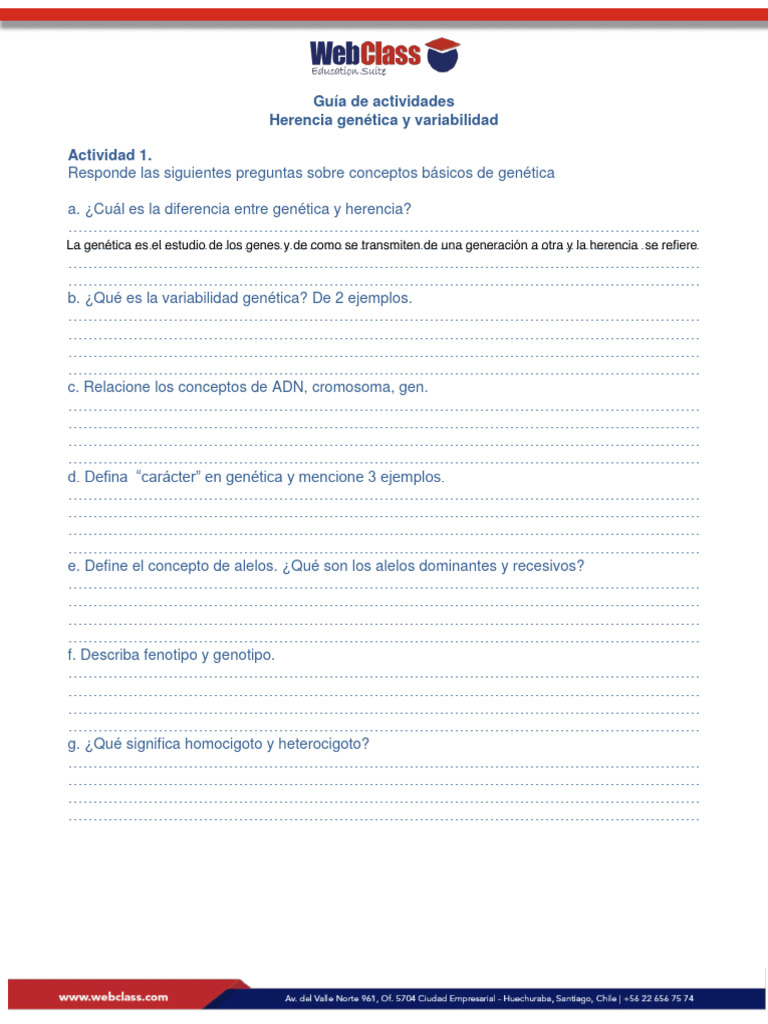 Guiadeactividades Conceptosbasicosdegenetica | PDF | Dominancia ...
