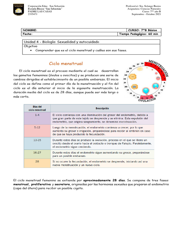 7B Cs Naturales Guia Ciclo Menstrual | PDF | Ciclo menstrual | Menstruación