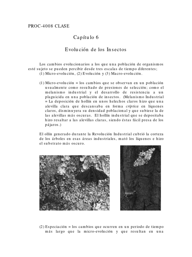 Evolución de Artrópodos e Insectos | PDF | Insectos | Evolución