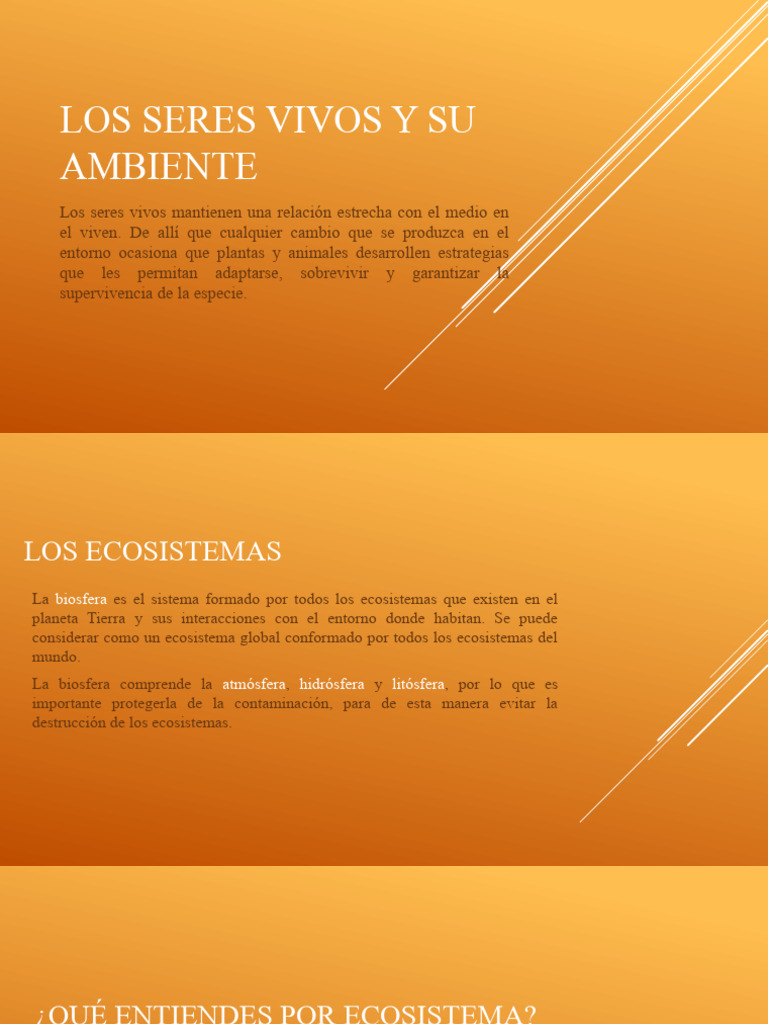 Segundo Trimestre Clase 1 Los Ecosistemas | PDF | Ecosistema | Entorno natural