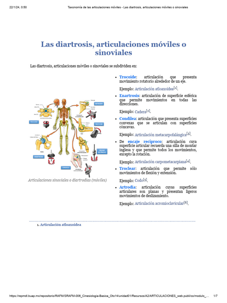 Taxonomía de las articulaciones móviles - Las diartrosis ...