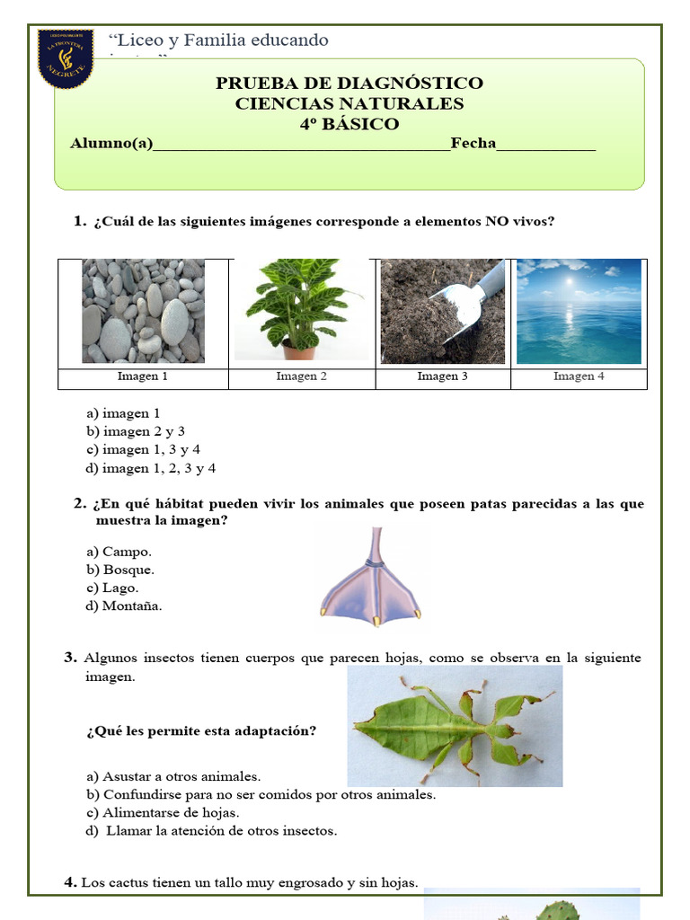 Diagnostico CS Nat 4 Basico | PDF | Temblores | Hueso