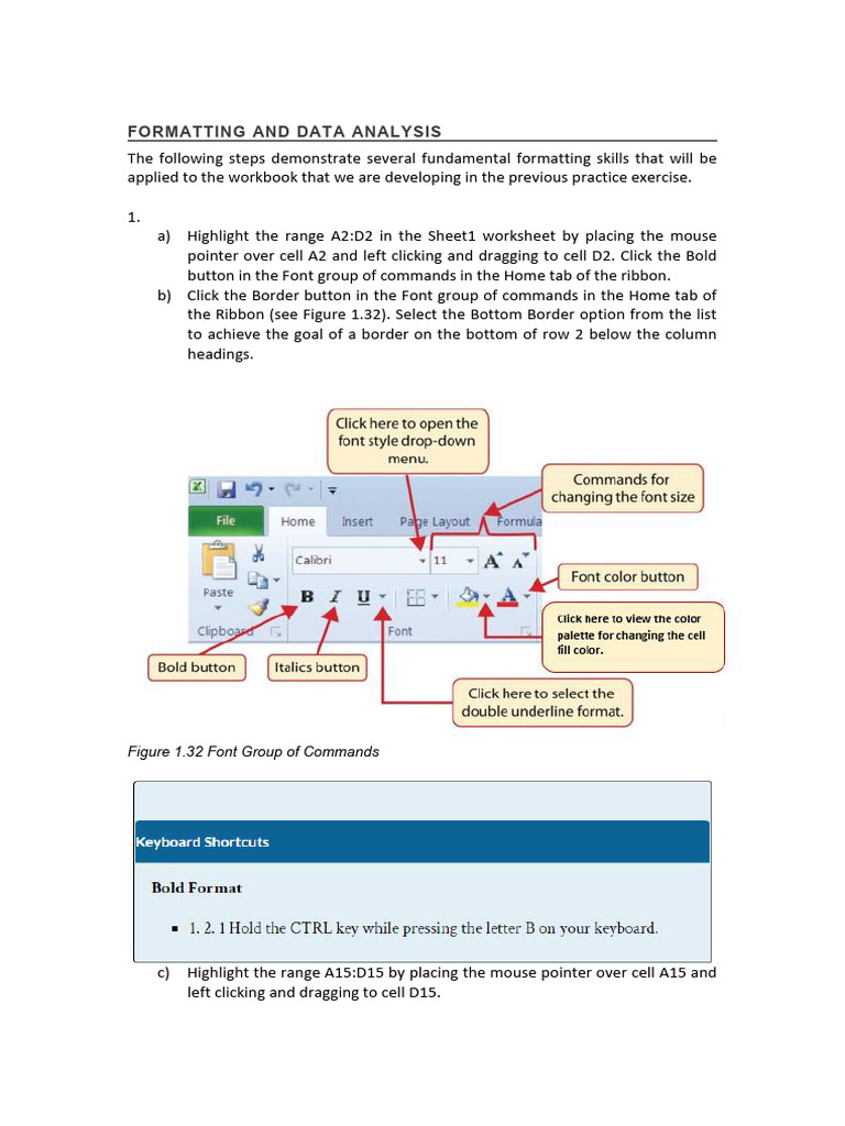 Practice Exercise #11-FORMATTING AND DATA ANALYSIS | PDF | Point And Click | Cursor (User Interface)