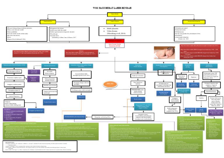 Woc Bayi Berat Lahir Rendah | PDF
