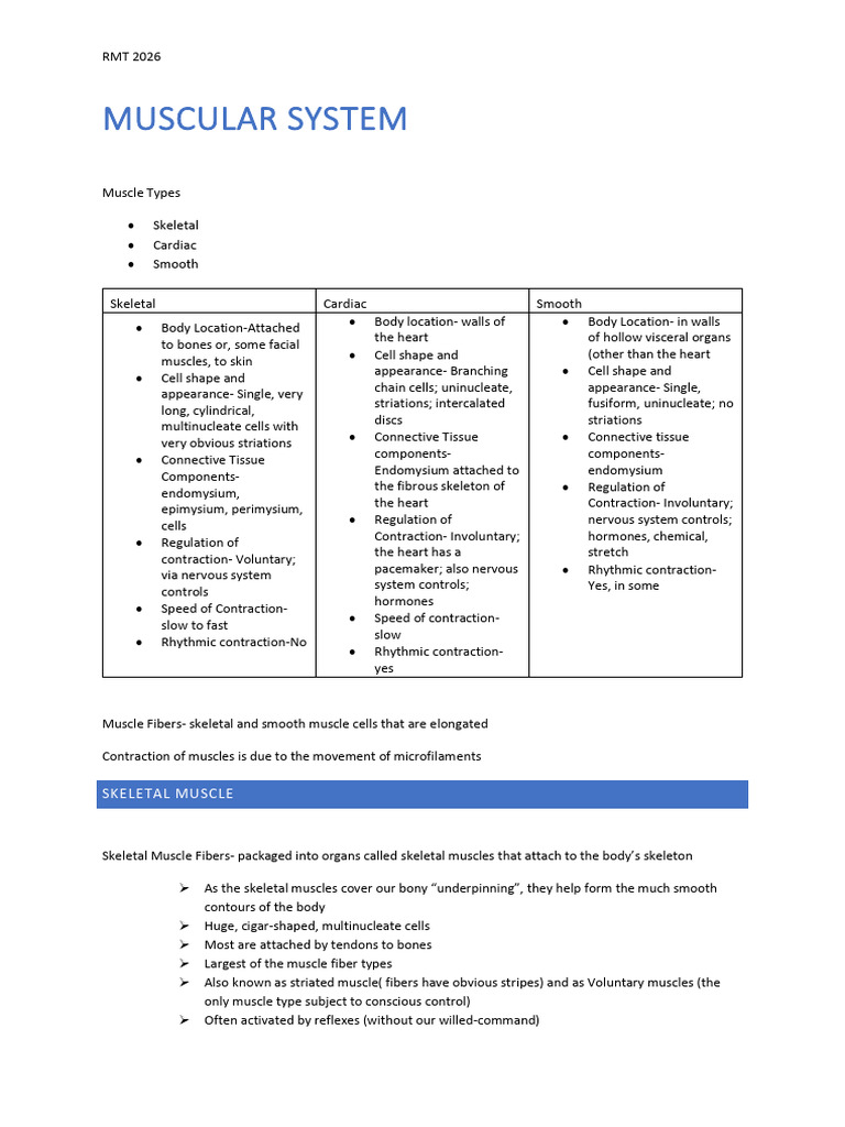 Muscular System | PDF | Anatomical Terms Of Motion | Muscle Contraction