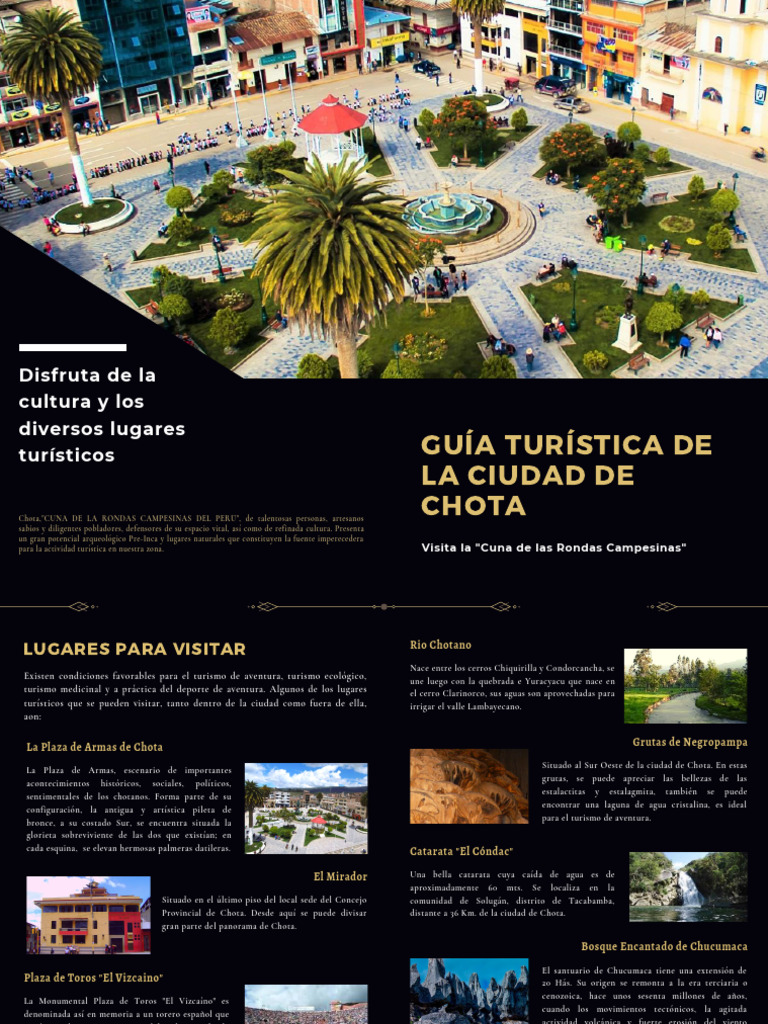 Diptico Modelo 1 (Vr. Oscura) | PDF