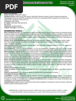 Ficha Tecnica Bingo SG | PDF | Insecticida | Agua