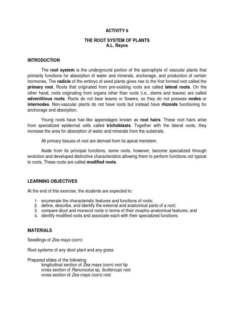 Activity 6 The Root System of Plants | PDF | Tissue (Biology) | Root