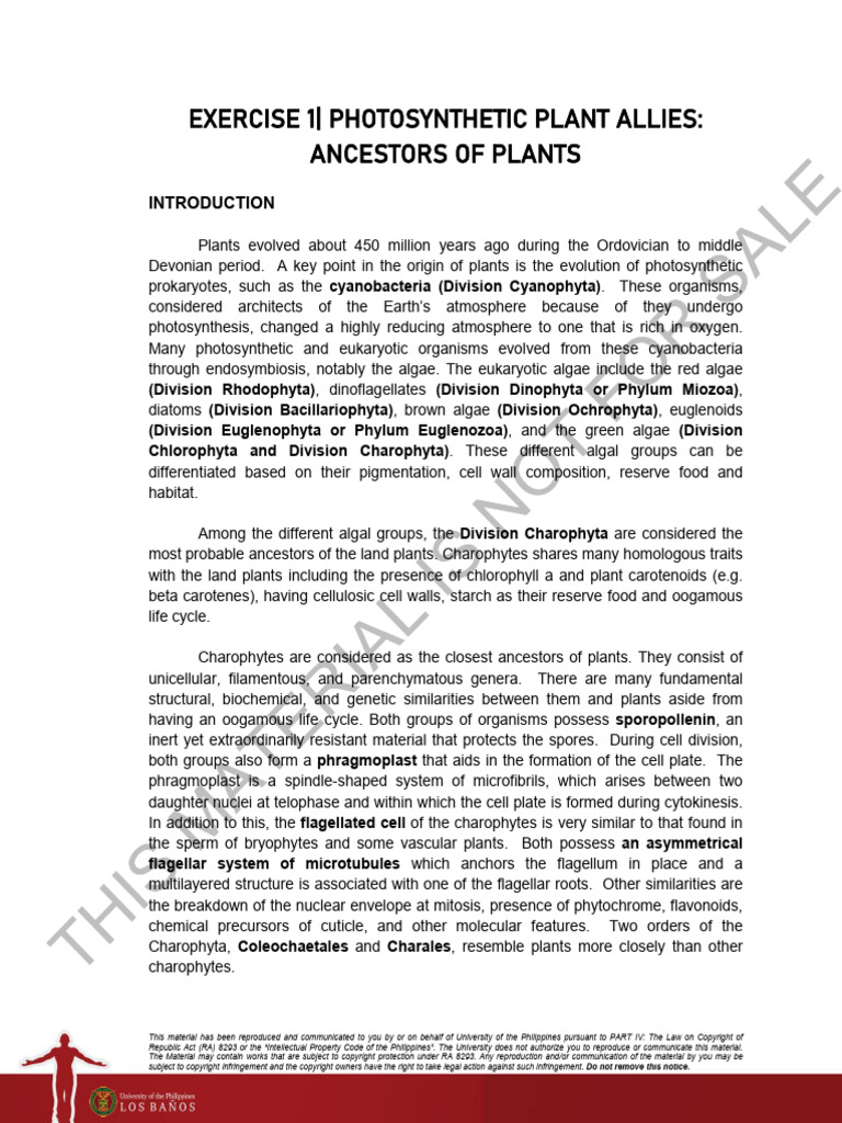 BOT 14 Exercise 1 Algae | PDF | Spore | Algae