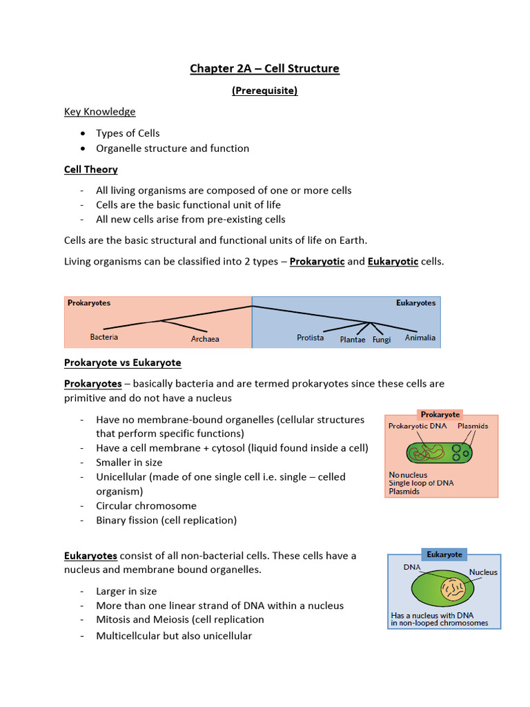 VCE Biology Chapter 2 Notes | PDF | Cell (Biology) | Ion