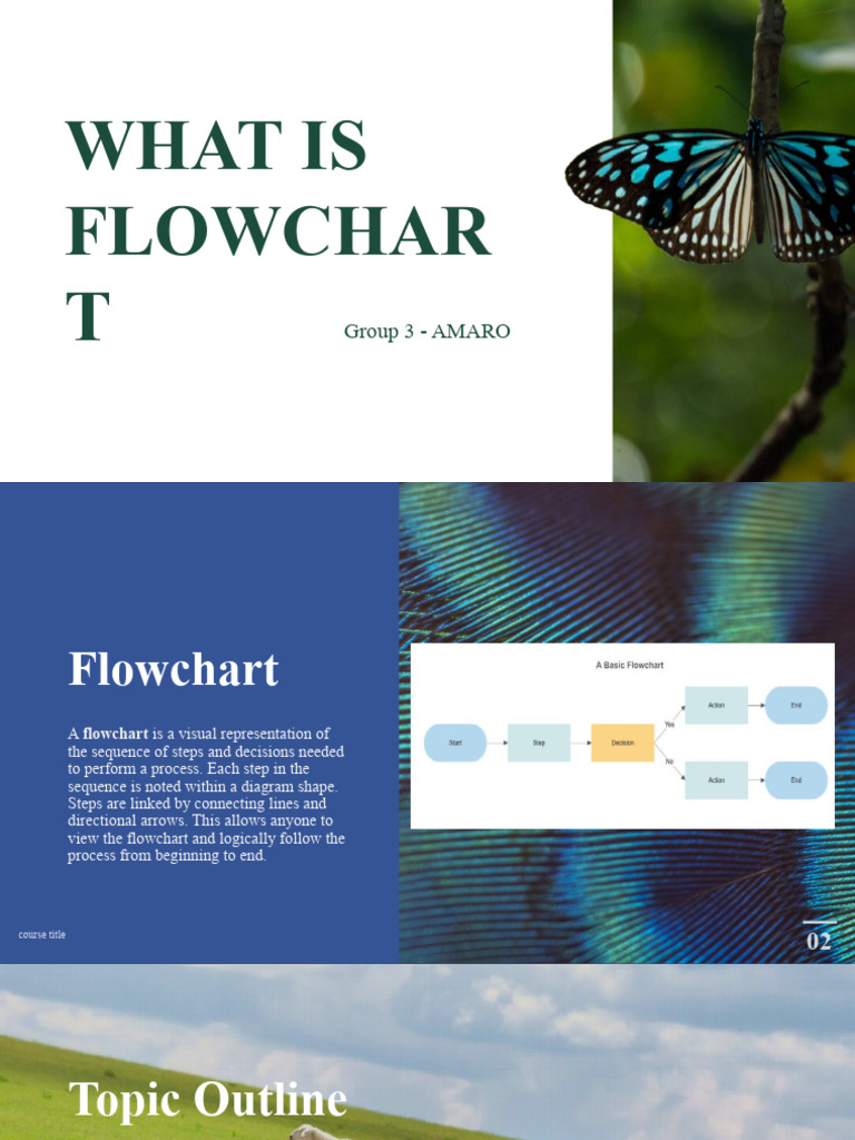 What Is Flowchart REPORT GROUP 3 | PDF | Infographics | Computing