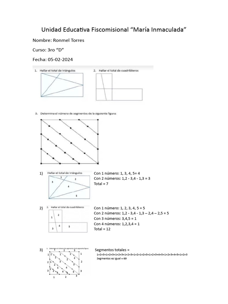Razonamiento Ronmel Torres | PDF