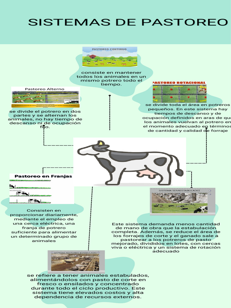 Sistemas de Pastoreo y Técnicas Sustentables | PDF